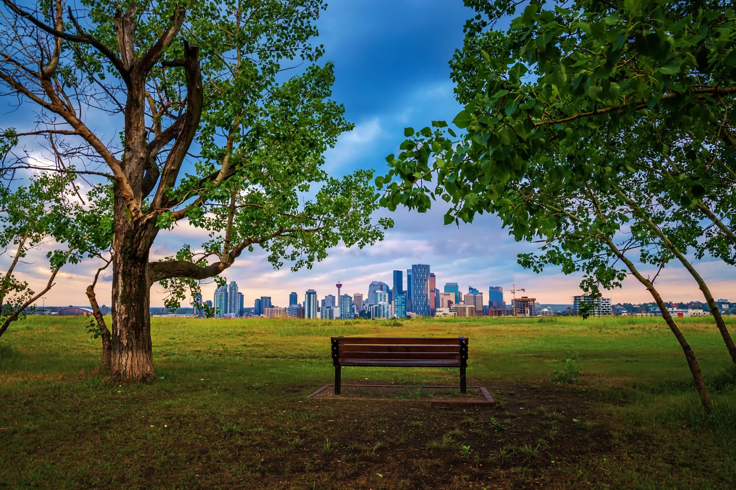 Calgary Lawyers | Contact Getz Collins and Associates